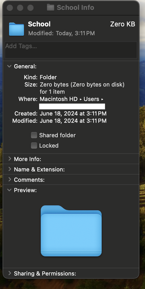 How to Customize Your Mac Desktop Icons | Maciverse